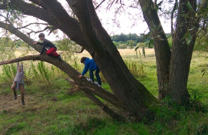 Visit Rimrose Valley Country Park to meet the wildlife on your doorstep ...