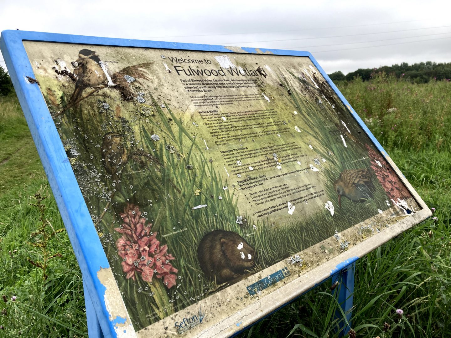 What a wonderful world: Walking Beats in the Rimrose Valley - CPRE ...