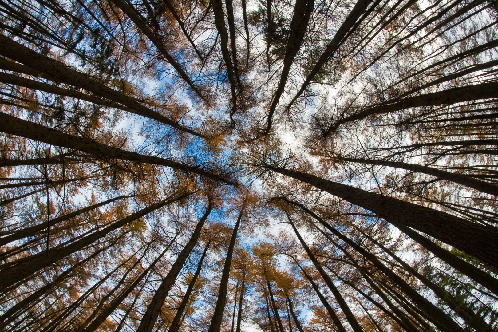 Origins: a reflective visit to the Forest of Bowland - CPRE Lancashire