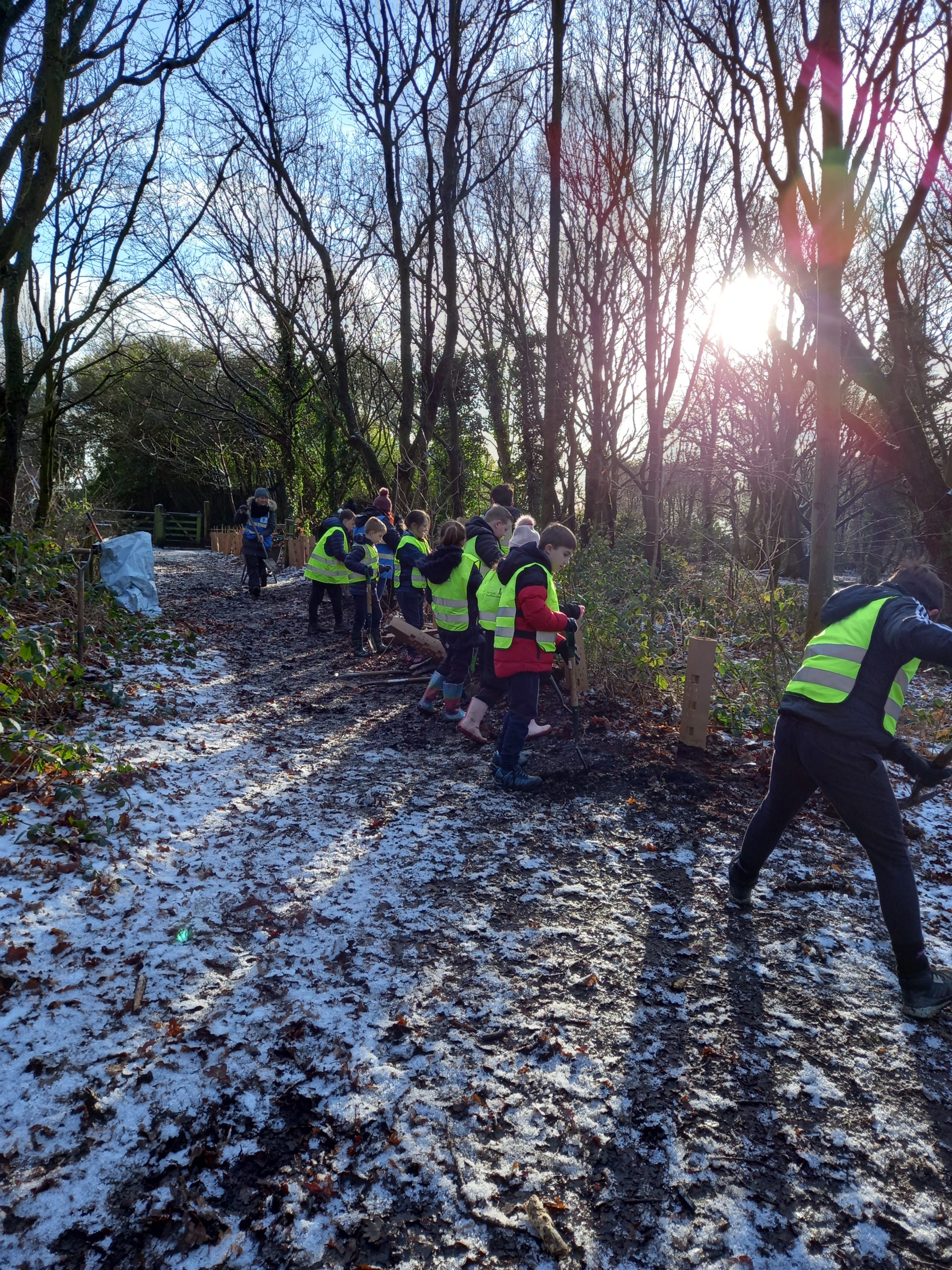 Thanks to our young Hedgerow Heroes! - CPRE Lancashire