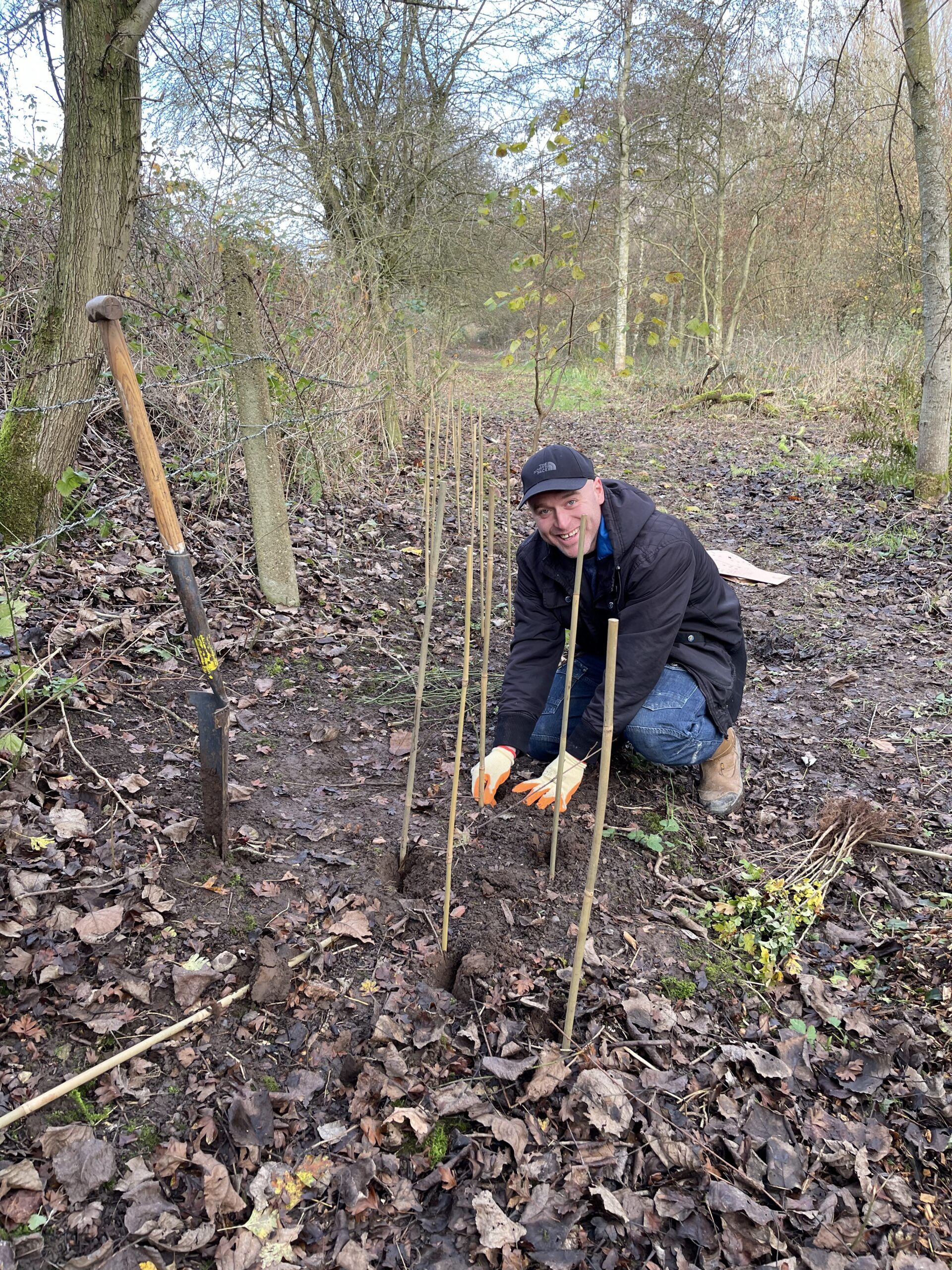 How to plant a hedgerow - step by step - CPRE Lancashire