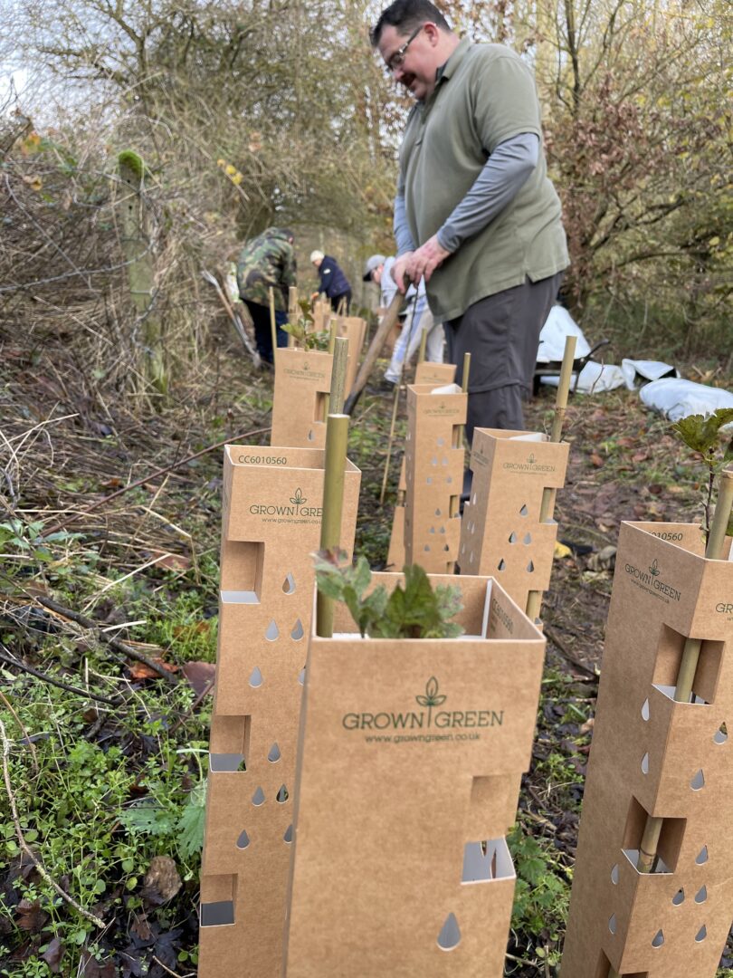 How to plant a hedgerow - step by step - CPRE Lancashire